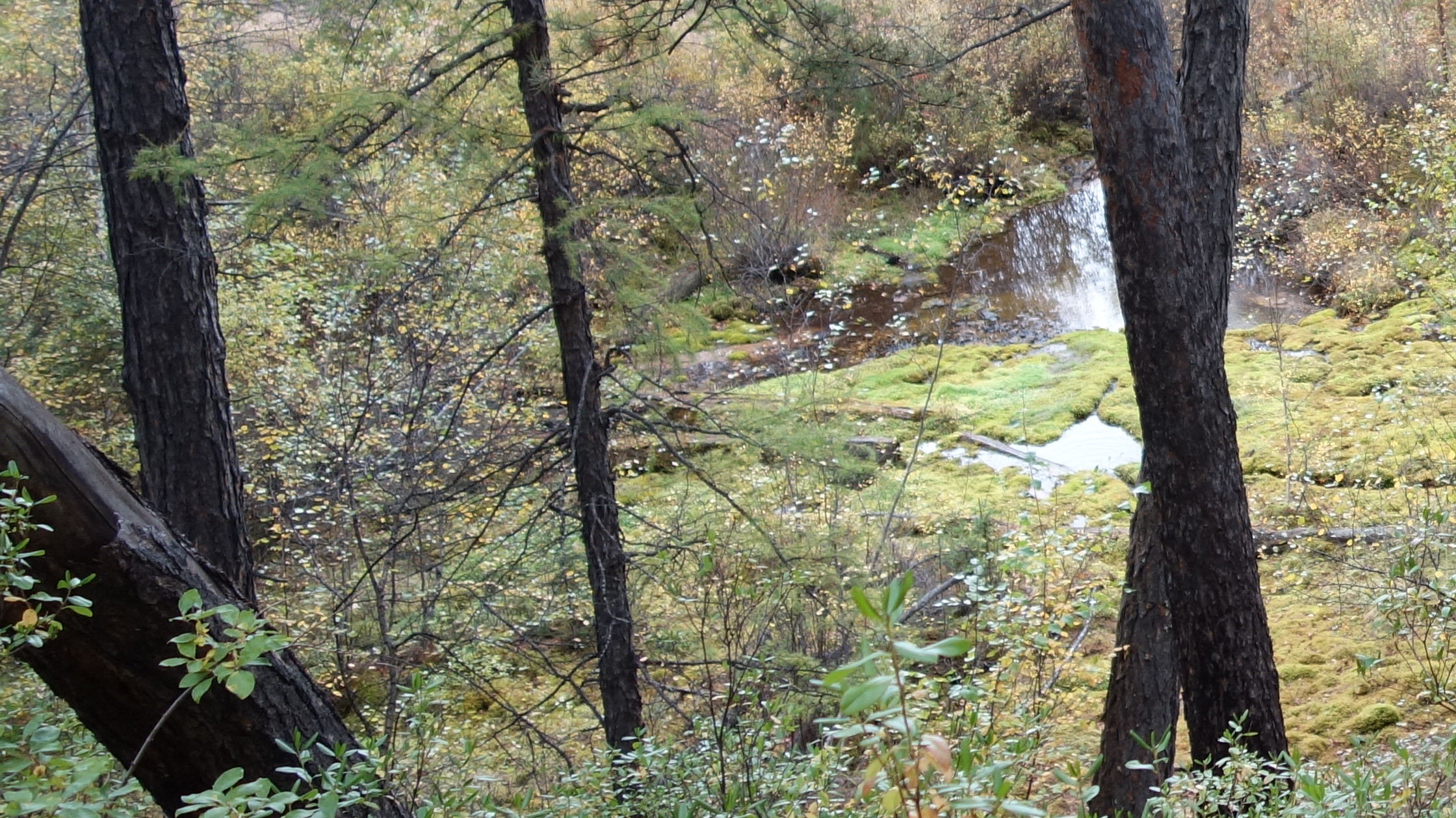 What is Structured Logging